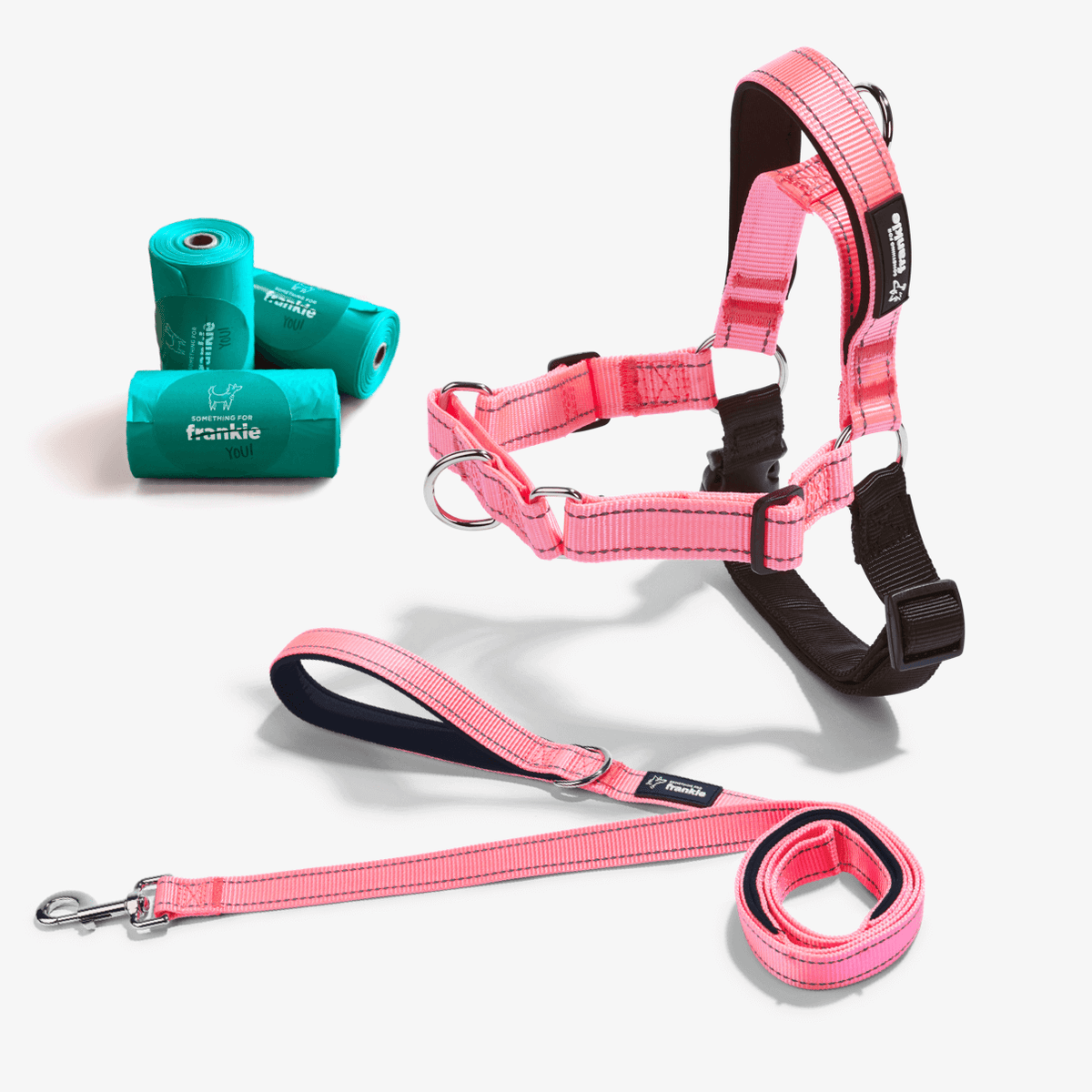 Essential Walking Kit – Pink – Something For Frankie